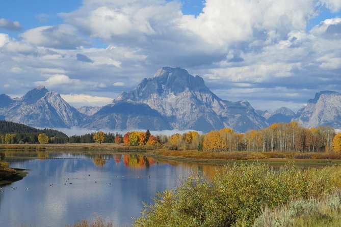 Grand Teton National Park - Sunrise Tour from Jackson Hole - The Authentic Wildlife Experience