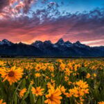Grand Teton: Private Guided Tour (Sunset) - Why This Tour Stands Out
