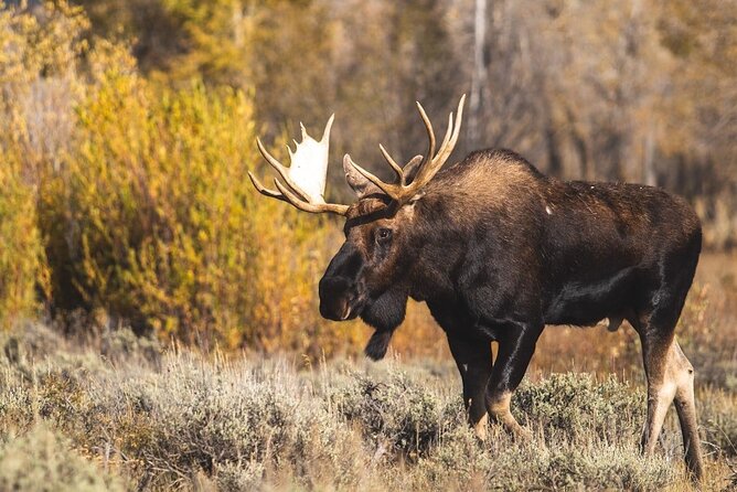 Grand Teton: Private Sunset Tour - Key Points