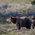 Grand Teton: Private Sunset Tour - Practicalities and Value