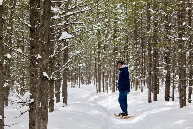 Grand Teton Private Winter Tour - An In-Depth Look at the Tour Experience