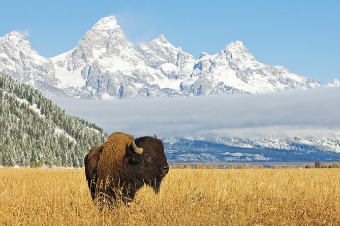 Grand Teton Self-Guided Driving Audio Tour - The Sum Up: Who Will Love This Tour?