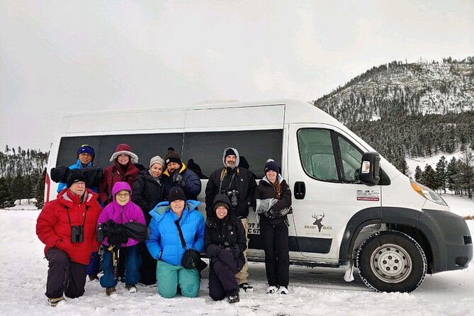 Grand Teton Wildlife Safari in a Enclosed or Open-Air Vehicle (season dependent) - The Sum Up