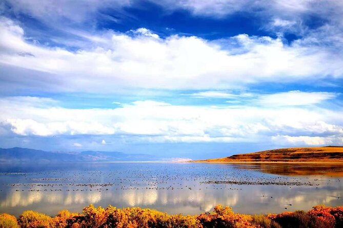 Grand Teton, Yellowstone, and Glacier National Parks 8-Day Tour - Exploring the Itinerary: A Deep Dive