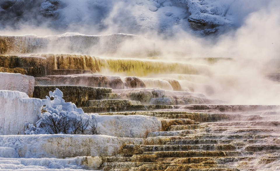 Grand Teton,Yellowstone National Park 3-Day Tour from SLC - Key Points