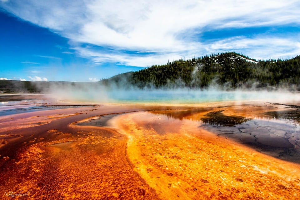 Grand Teton,Yellowstone National Park 5-Day Tour from SLC - Key Points