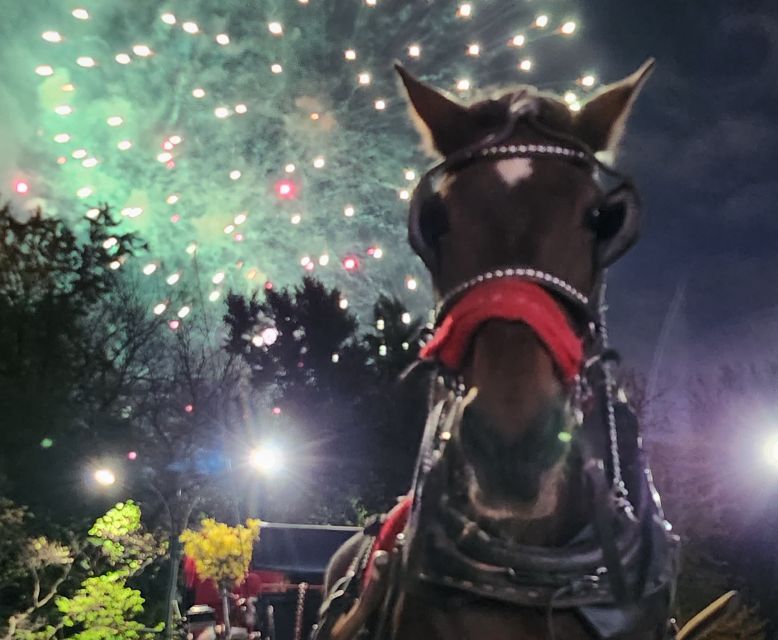 Grand Tour: Central Park, Rockefeller Center & Times Square - An In-Depth Look at the Tour