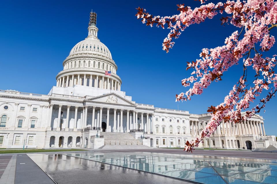 Grand Tour Of Washington DC - Who Would Love This Tour?