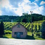 Grandfather Mountain Private Wine & Dine Tour from Asheville - Value and Real-World Insights