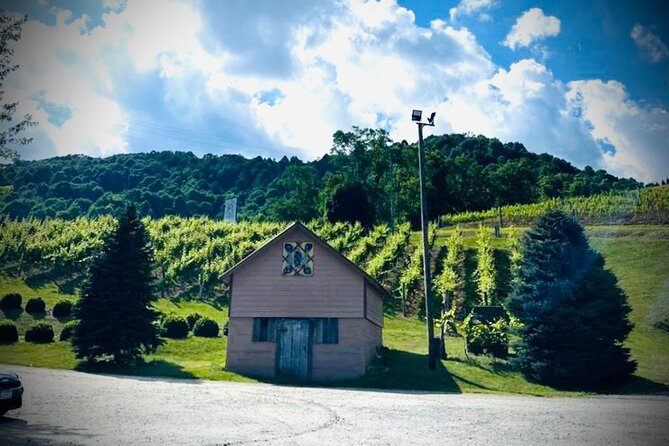 Grandfather Mountain Private Wine & Dine Tour from Asheville - Value and Real-World Insights