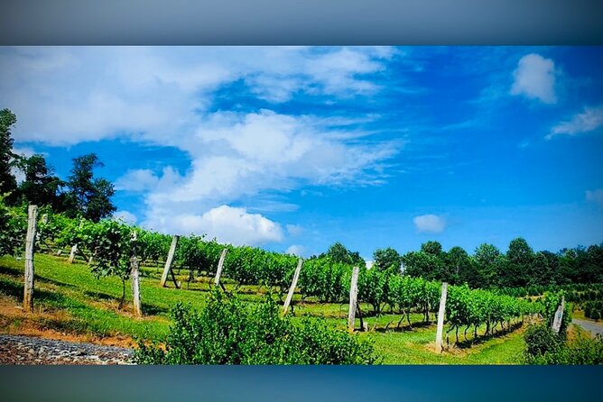 Grandfather Mountain Private Wine & Dine Tour from Asheville - Final Thoughts