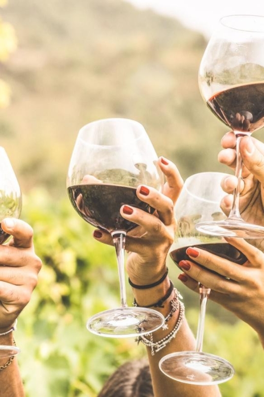 Grape Escapes Full-Day Wine Tour in Ithaca - Introduction