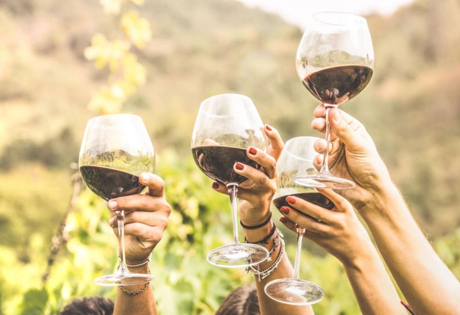 Grape Escapes Full-Day Wine Tour in Ithaca - What to Expect from the Grape Escapes Full-Day Wine Tour