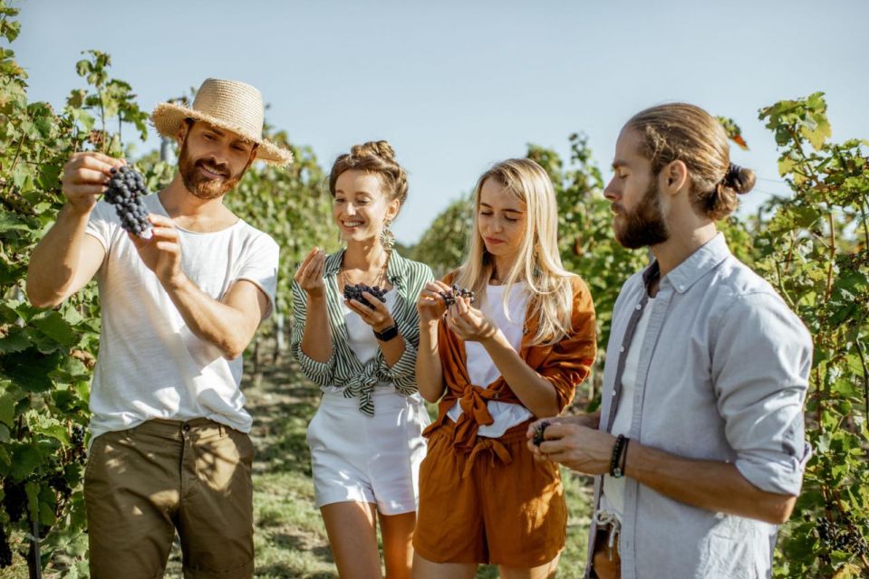 Grape Escapes Full-Day Wine Tour in Ithaca - Pricing and Value