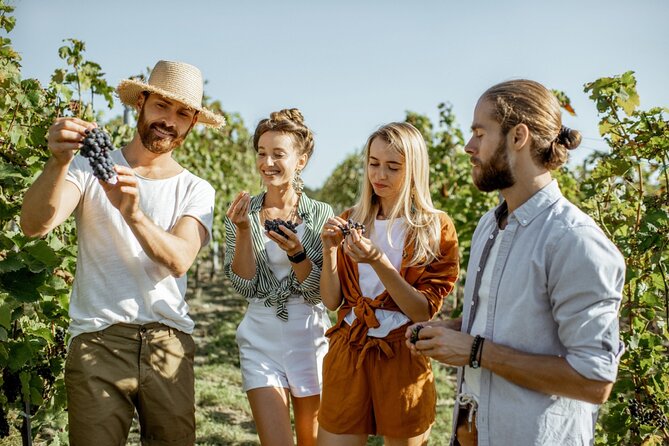 Grape Escapes Wine Full-Day Tour in Ithaca - The Value and Cost Consideration