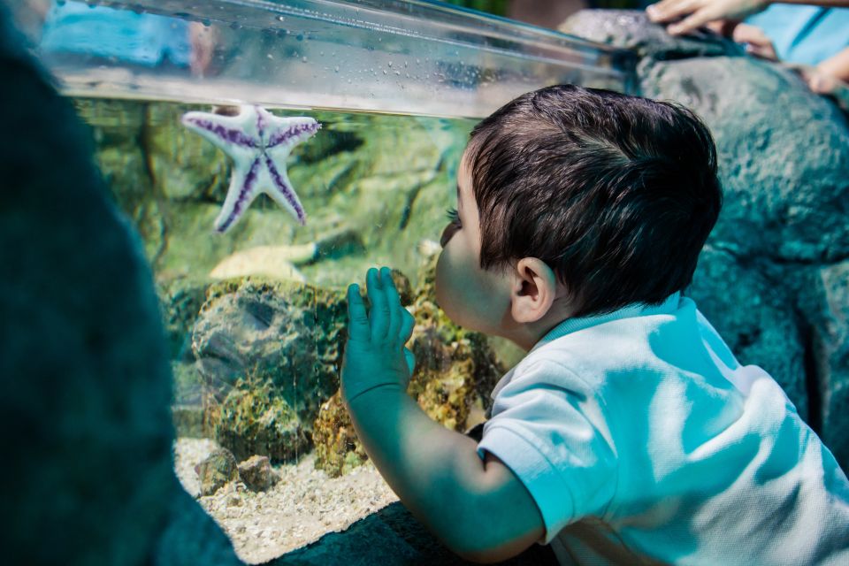 Grapevine: SEA LIFE Grapevine Aquarium General Admission - Introduction
