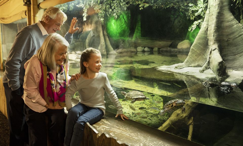 Grapevine: SEA LIFE Grapevine Aquarium General Admission - Key Points