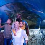 Grapevine: SEA LIFE Grapevine Aquarium General Admission - A Closer Look at the SEA LIFE Grapevine Aquarium Experience