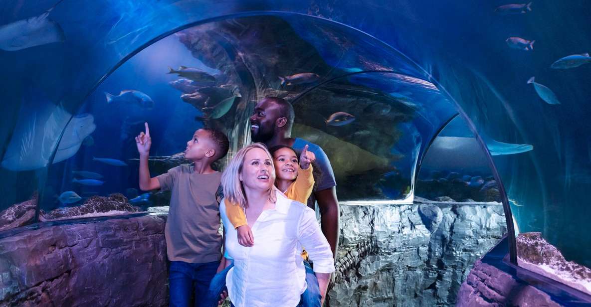 Grapevine: SEA LIFE Grapevine Aquarium General Admission - A Closer Look at the SEA LIFE Grapevine Aquarium Experience