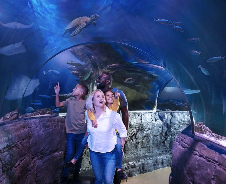 Grapevine: SEA LIFE Grapevine Aquarium General Admission - Authentic Insights from Visitors