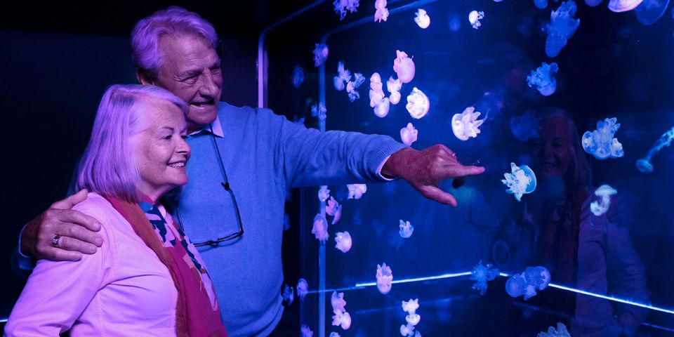 Grapevine: SEA LIFE Grapevine Aquarium General Admission - FAQ