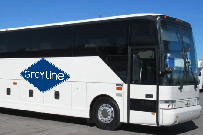Gray Line NY Sightseeing Flex Pass to MoMA and 120+ options - Iconic Landmarks and Neighborhoods