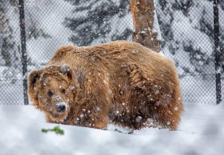 Great Plains Zoo - Key Points