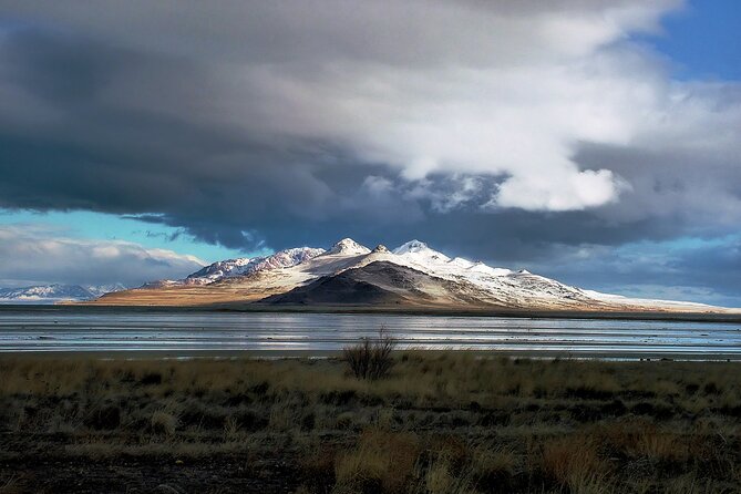 Great Salt Lake and Antelope Island Day Tour - An In-Depth Look at the Tour Itinerary