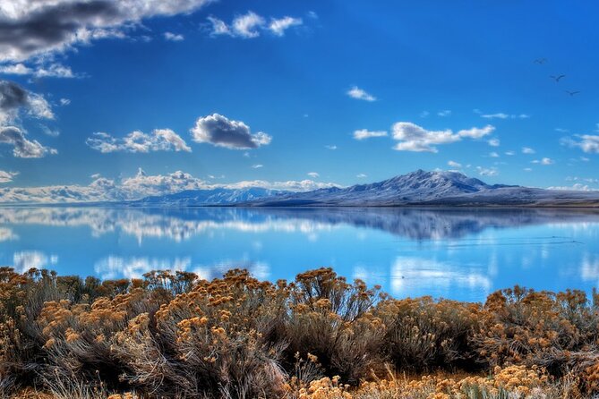 Great Salt Lake and Antelope Island Day Tour - Who Would Love This Tour?