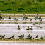 Great Salt Lake Guided Bus Tour from Salt Lake City - Who Will Love This Tour?