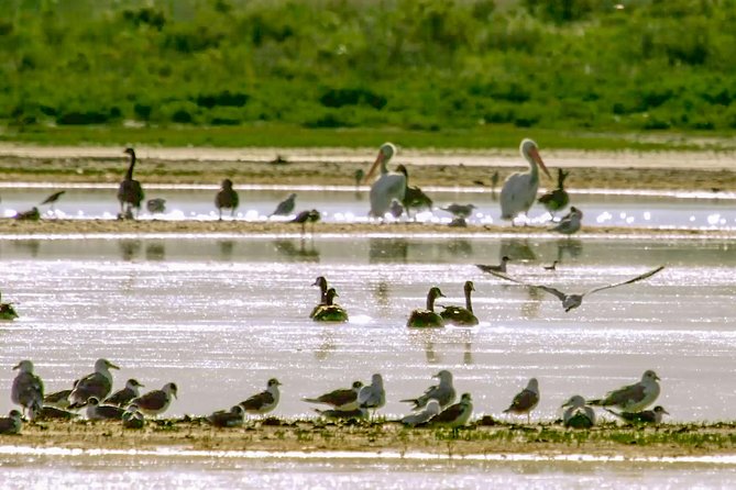 Great Salt Lake Guided Bus Tour from Salt Lake City - Who Will Love This Tour?