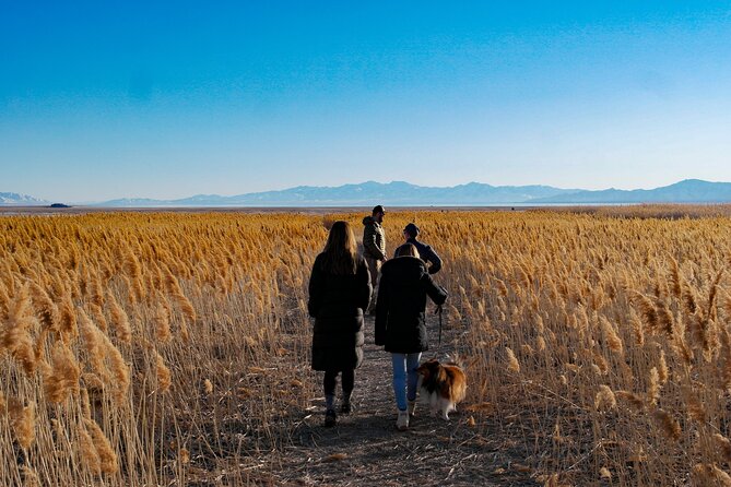 Great Salt Lake Wildlife Experience - Why This Tour Shines