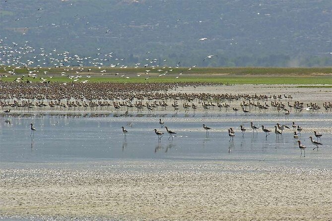 Great Salt Lake Wildlife Experience - Frequently Asked Questions