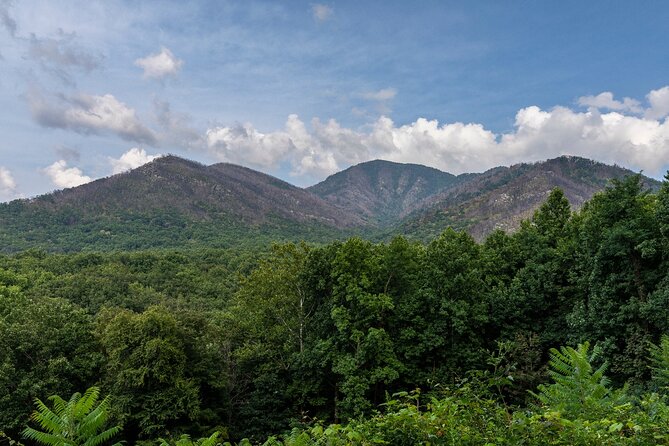 Great Smoky Mountains & Cades Cove Self-Guided Driving Tours - Final Thoughts