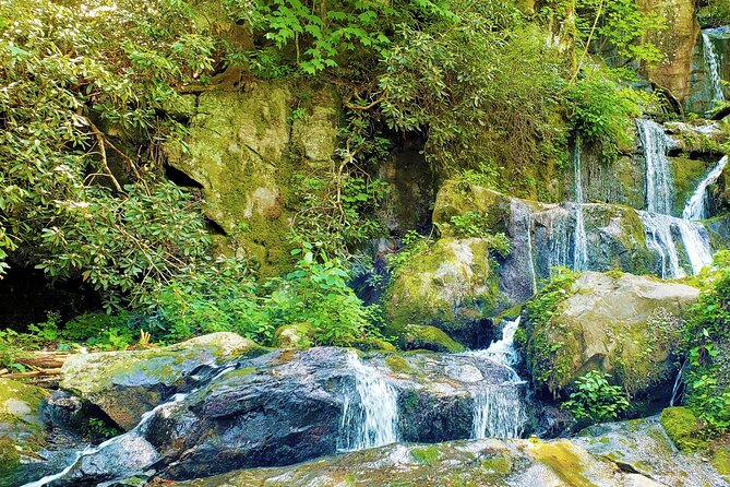 Great Smoky Mountains & Cades Cove Self-Guided Driving Tours - FAQ
