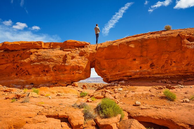 Greater Zion: Dinosaur Tracks in the Desert UTV Tour - Is This Tour Worth the Price?