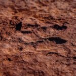 Greater Zion: Extreme Adrenaline UTV Tour in Sand Hollow - What Makes This Tour Stand Out?