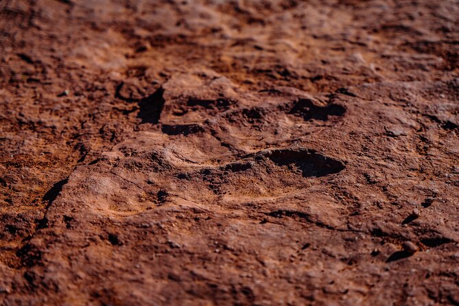 Greater Zion: Extreme Adrenaline UTV Tour in Sand Hollow - What Makes This Tour Stand Out?