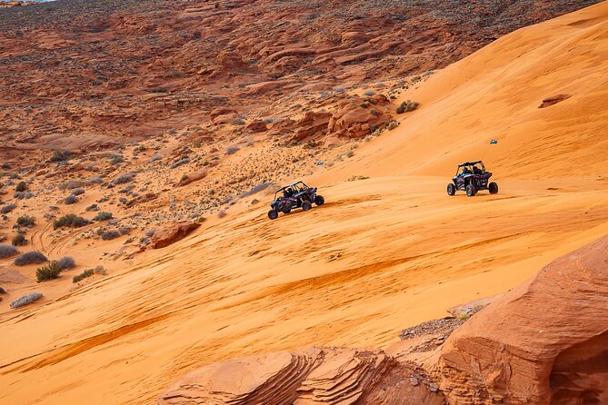 Greater Zion: Kid-Friendly UTV Adventure - Practical Details & Tips for Travelers