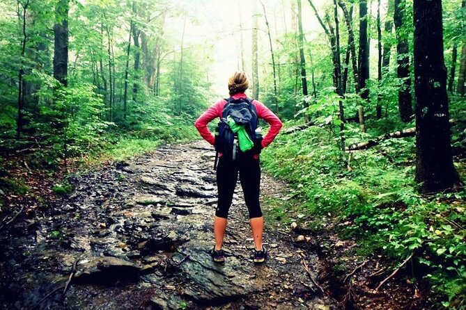 Green Mountain Adventure Challenge Passes - The Experience and Puzzles  