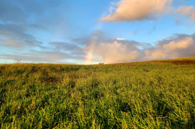 Green Sands Adventure ATV Ride - The Practicalities: Booking, Duration, and Value