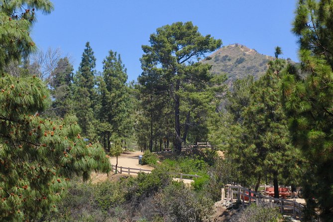 Griffith Park & Hollywood Sign Sunset Hike - What to Expect from This LA Hiking Adventure