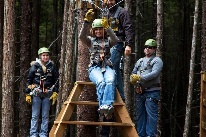Grizzly Falls Ziplining Expedition - Why Travelers Love the Grizzly Falls Ziplining Expedition