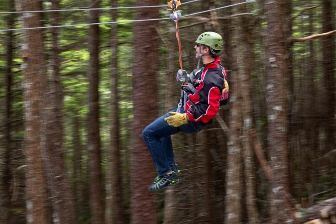 Grizzly Falls Ziplining Expedition - Is This Tour Right for You?