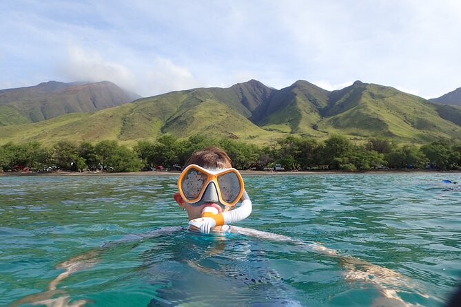 Group Snorkel Excursions in Lahaina, Maui - The Meeting Point and Practical Details
