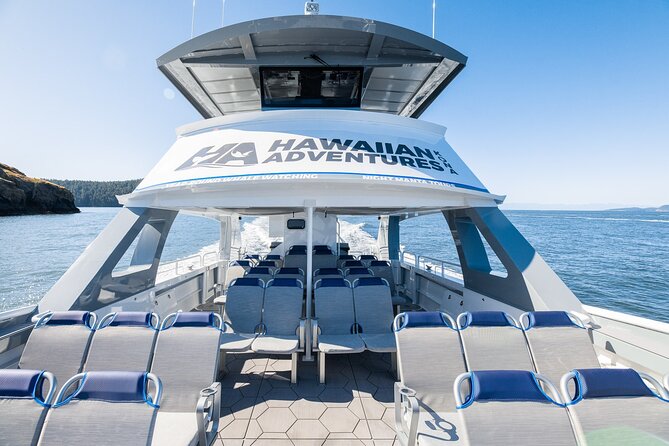 Guaranteed Dolphin and Whale Watch Tour in Kona - Introduction to the Experience