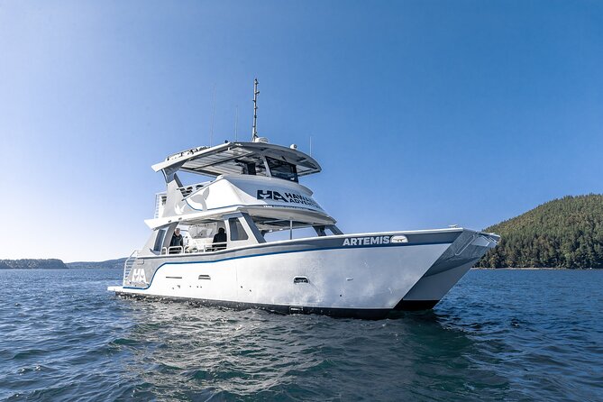 Guaranteed Dolphin and Whale Watch Tour in Kona - The Itinerary: What to Expect