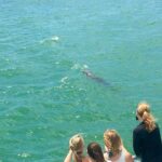 Guaranteed Dolphin Sighting Tour on Tropics Boat Tours - Authentic Experiences from Reviewers