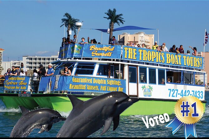 Guaranteed Dolphin Sighting Tour on Tropics Boat Tours - The Sum Up