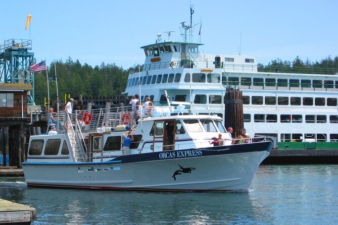 Guaranteed Whale Watching Tour - Additional Tips and Considerations